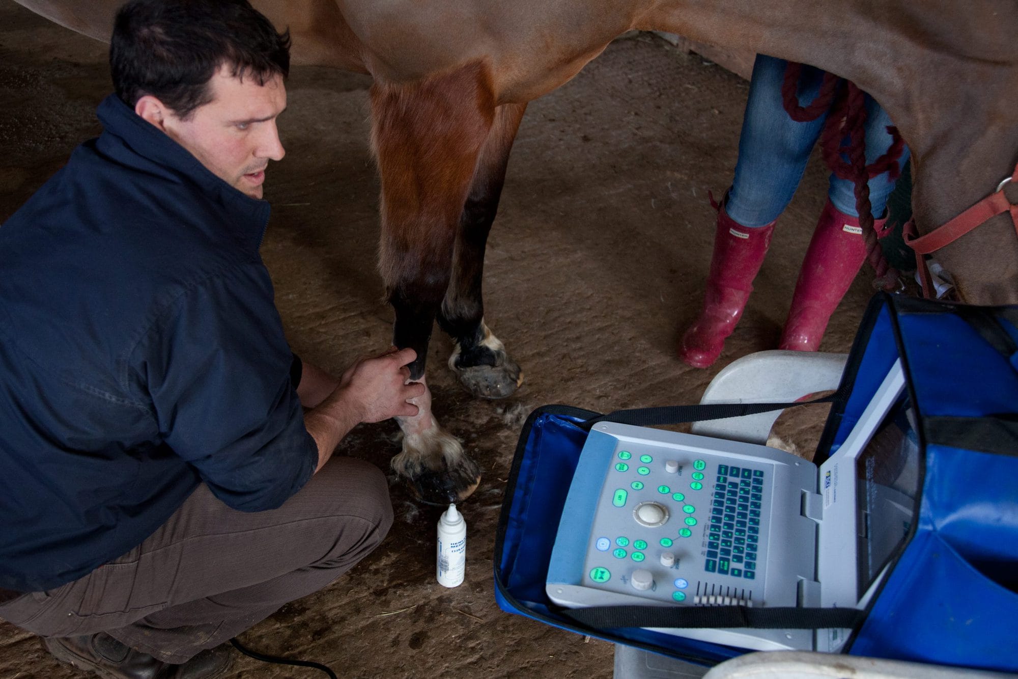 Worming Worming In Autumnwinter Horse Health Programme