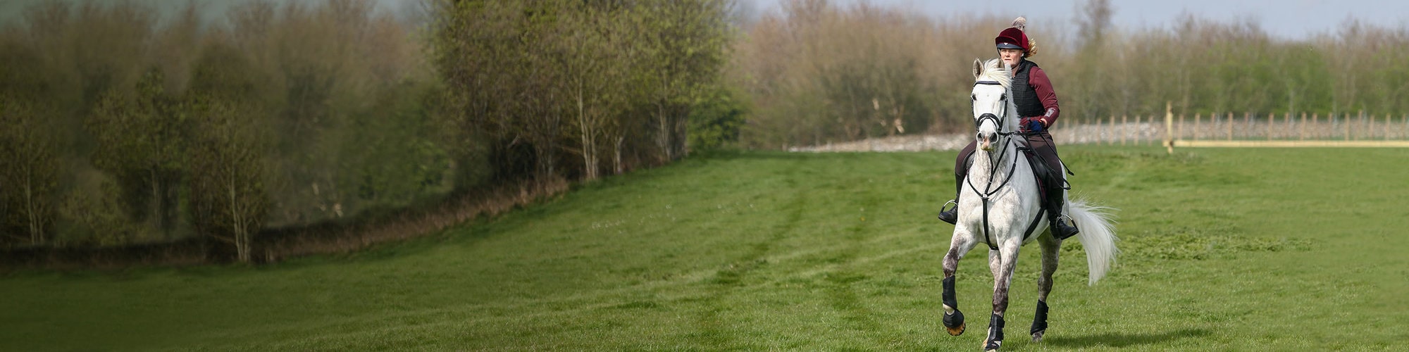 The Horse Health Programme - Simple cost-effective preventative care