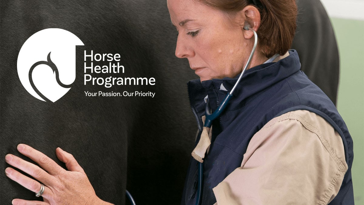 Horse Advice Archives - Horse Health Programme